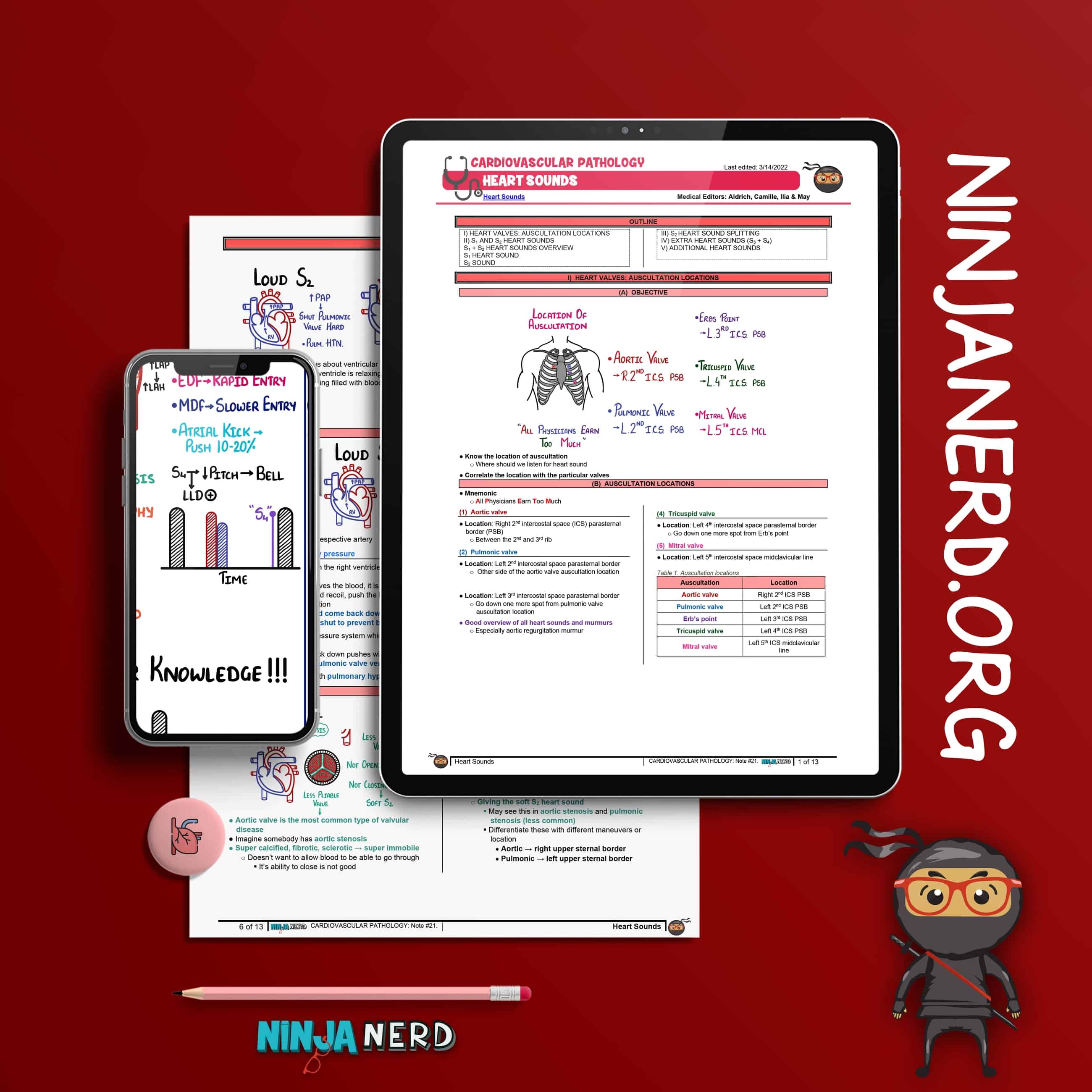 Heart Sounds - Notes - NinjaNerd Medicine